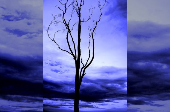 Poesia Dramática - Só Poesias